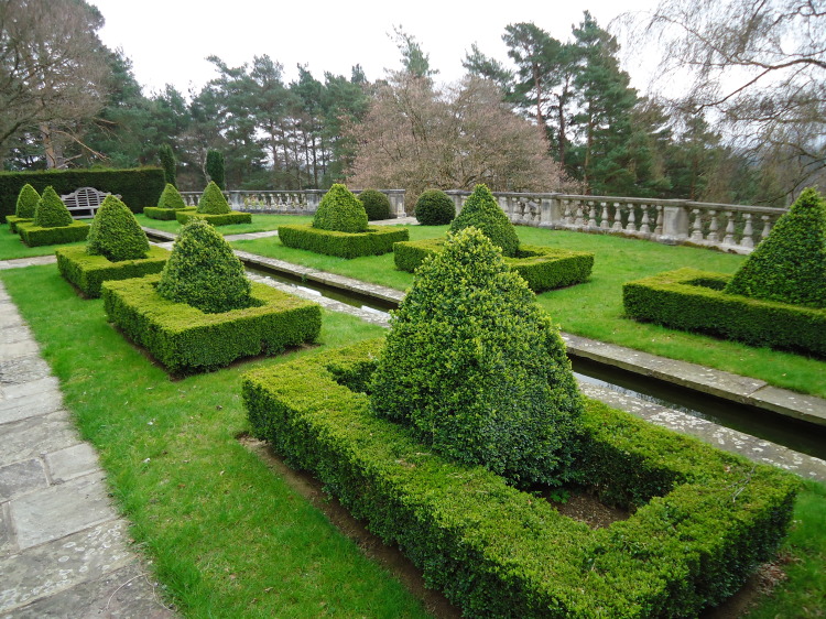Topiary with Shears - The Landscape Library